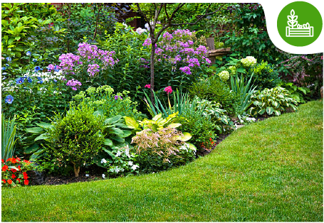 Organic Fertiliser Online – Restore Soil & Thrive Plants | Swift Grow ...