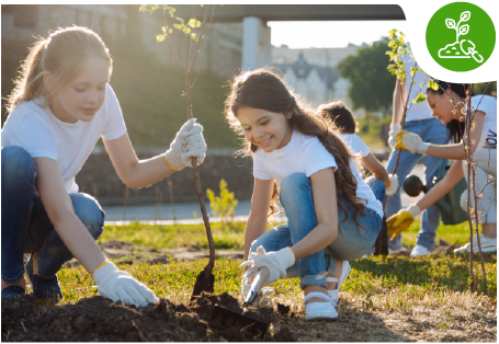 Organic Fertiliser Online – Restore Soil & Thrive Plants | Swift Grow ...