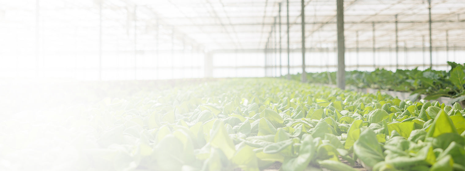 Organic Fertiliser Online – Restore Soil & Thrive Plants | Swift Grow ...