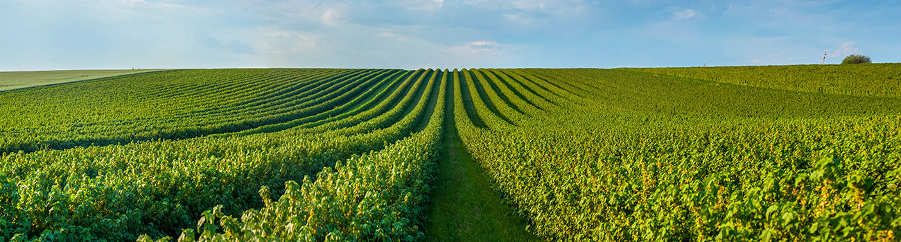 How to Use Swift Grow – Swift-Grow